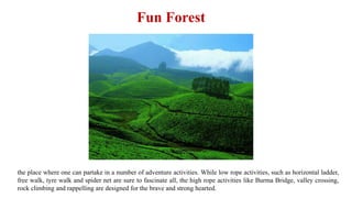 Tourist Spots In Munnar | PPTX