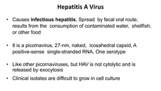 human papilloma Virus ,measles,HIV and hepatitis viruses | PPTX