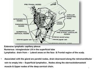 ppt on salivary gland tumors with anatomy.pptx