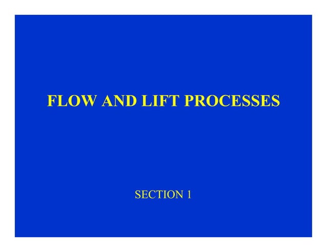 PPT01- Flow&Lift Processes.pdf