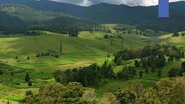 Green Valley View Point In Kodaikanal