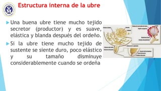 PPT 01 LA LECHE CLASE DE MATERIA PRIMAS E INSUMOS | PDF