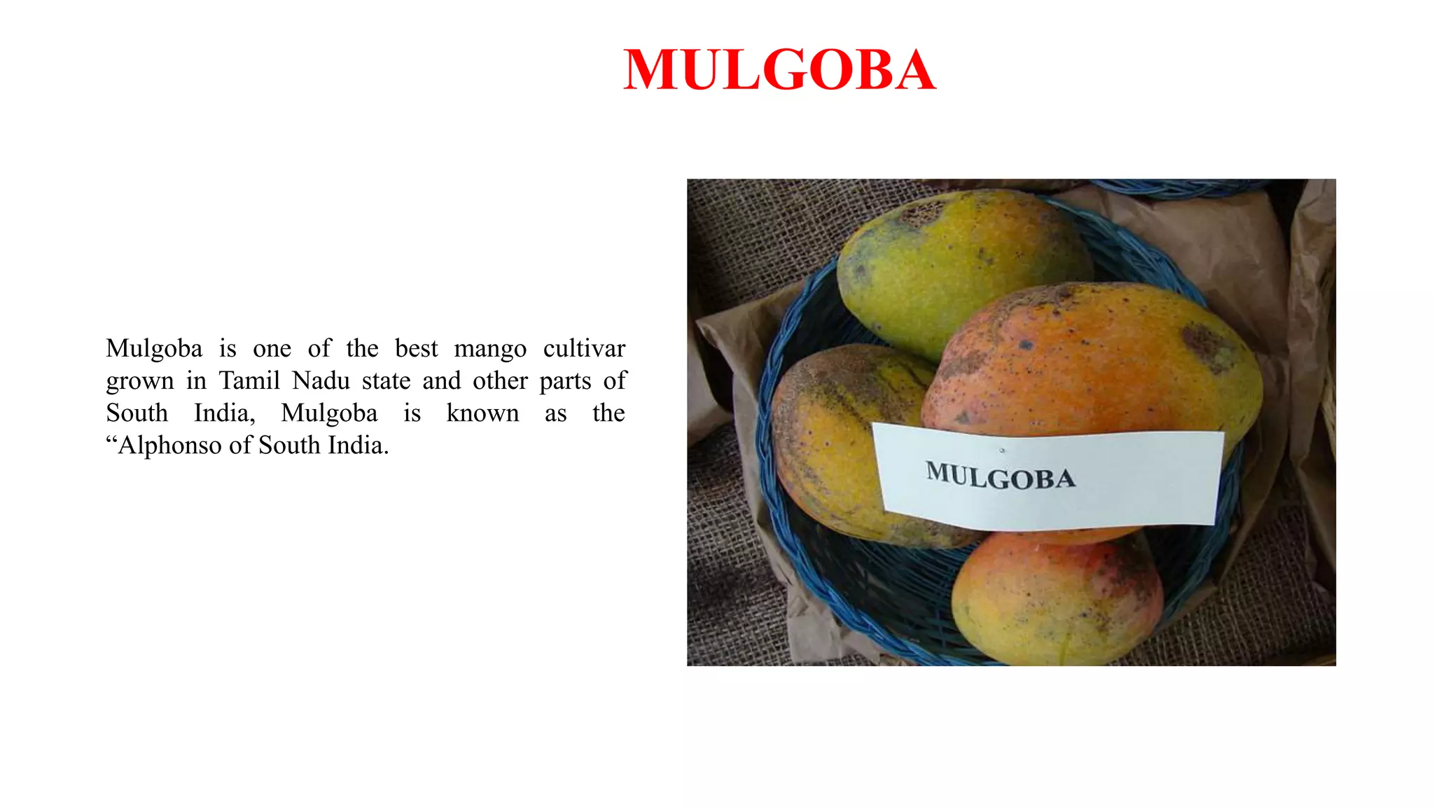 Mango Varieties | PPTX