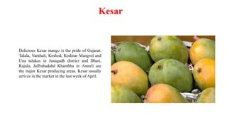 Mango Varieties | PPTX
