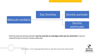 PPT_02_FISIOLOGÍA_CARDIOVASCULAR_fisiogeneral_2024 (1).pdf