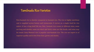 Tamilnadu Rice Varieties | PPTX