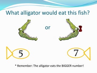 More than, Less than, Equal to | PPTX