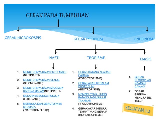 Ppt 1. gerak tumbuhan K13 by : Henie, S.Pd. | PPT