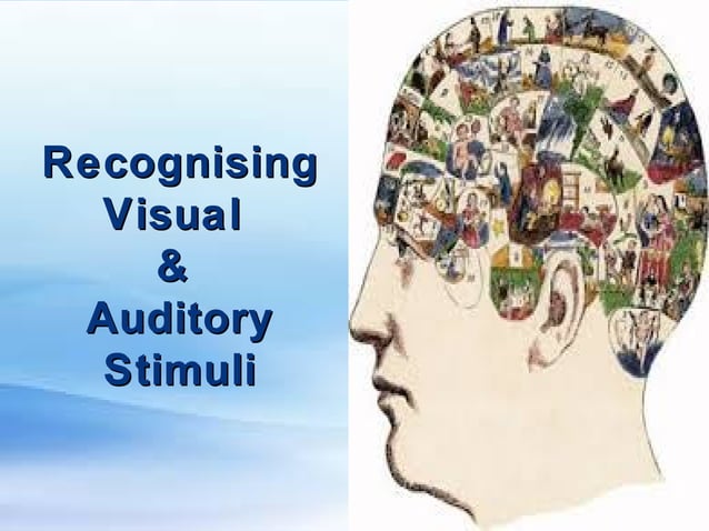 Recognising Visual and Auditory Stimuli | PPT