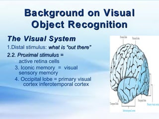 Recognising Visual and Auditory Stimuli | PPT