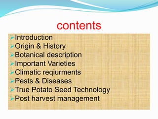 potato | PPTX