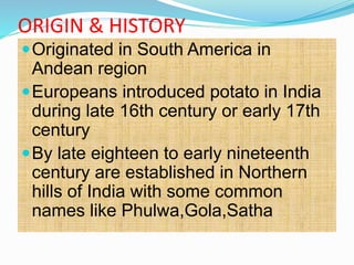 potato | PPTX