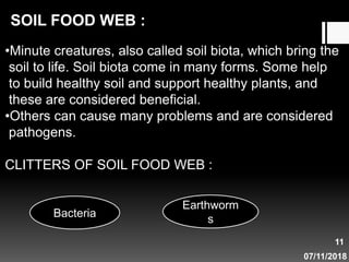 FOOD WEB - S NAGA YASHASWINI | PPT