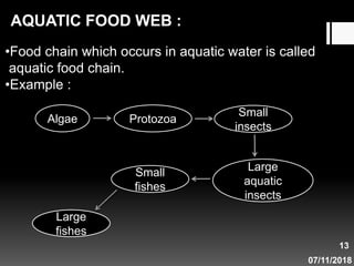 FOOD WEB - S NAGA YASHASWINI | PPT
