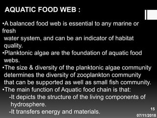 FOOD WEB - S NAGA YASHASWINI | PPT