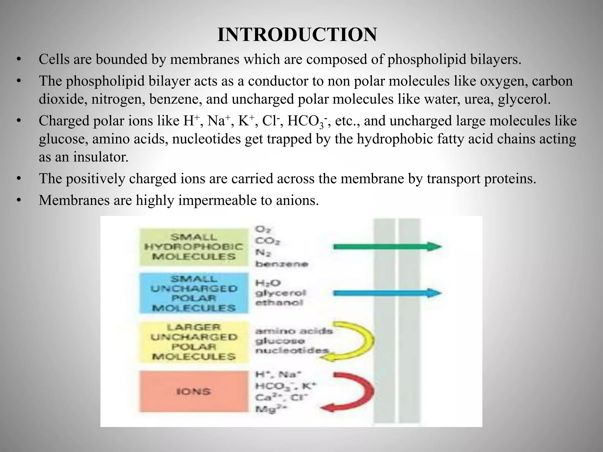 Presentation on Electrical Properties of Cell Membrane | PPTX
