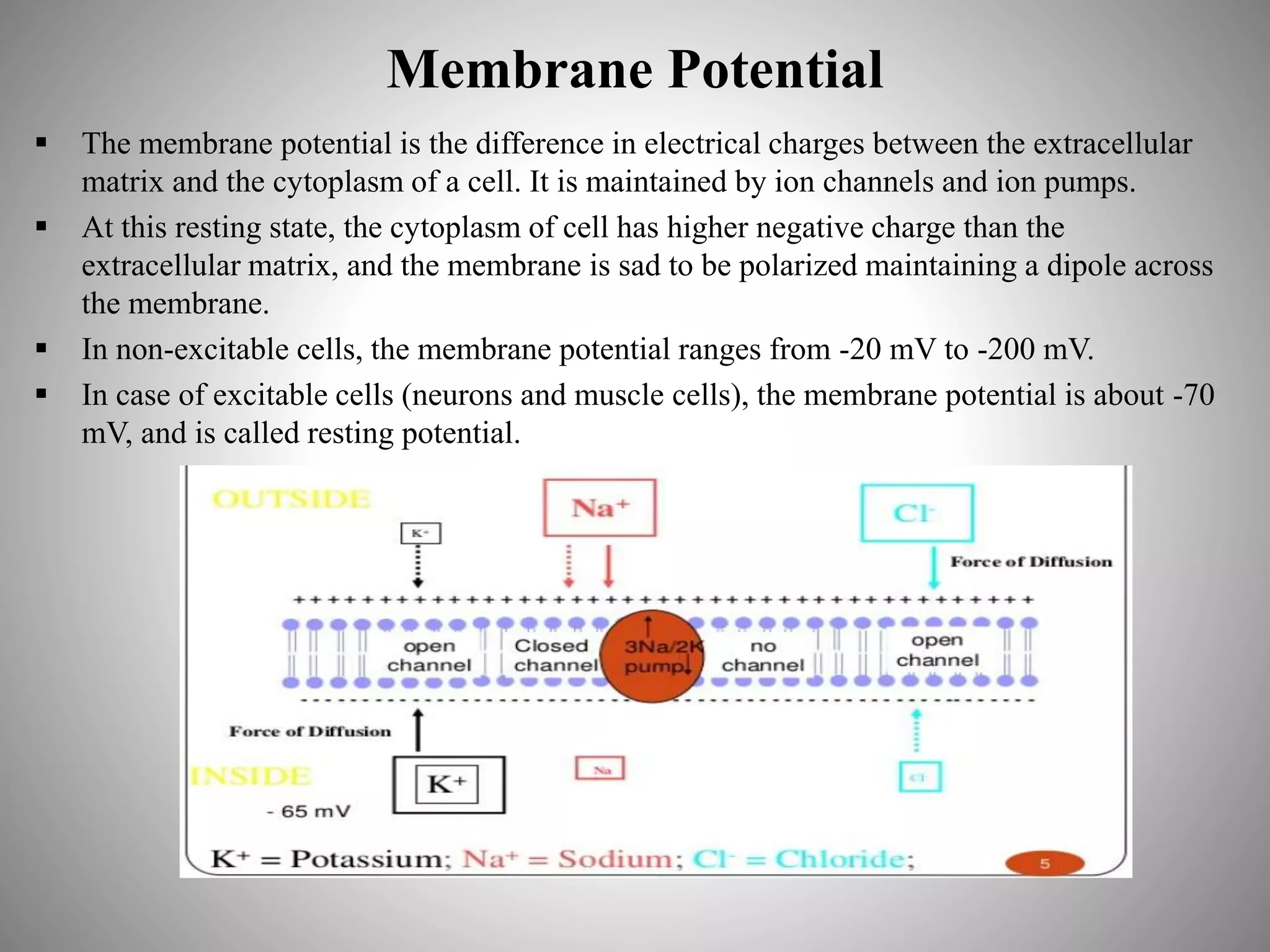 Presentation on Electrical Properties of Cell Membrane | PPTX