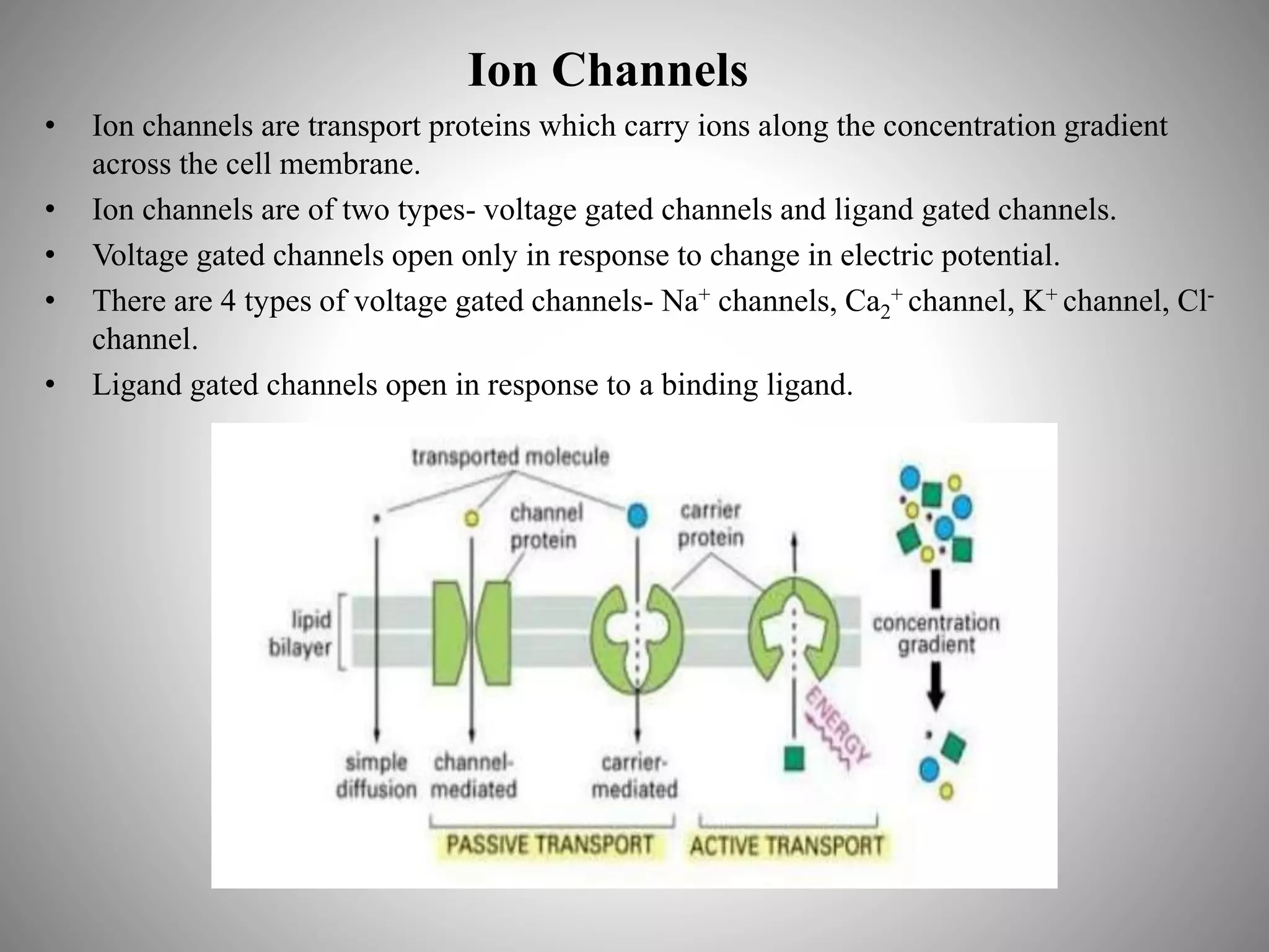 Presentation on Electrical Properties of Cell Membrane | PPTX