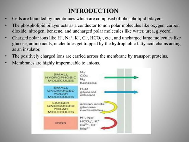 Presentation on Electrical Properties of Cell Membrane | PPTX | Chemistry | Science
