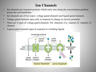 Presentation on Electrical Properties of Cell Membrane | PPTX
