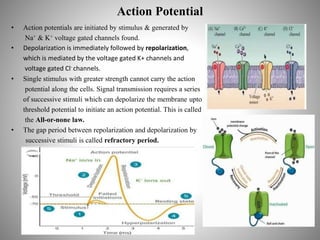 Presentation on Electrical Properties of Cell Membrane | PPTX