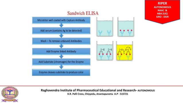 ELISA ( Enzyme linked immunosorbent assay) | PPTX