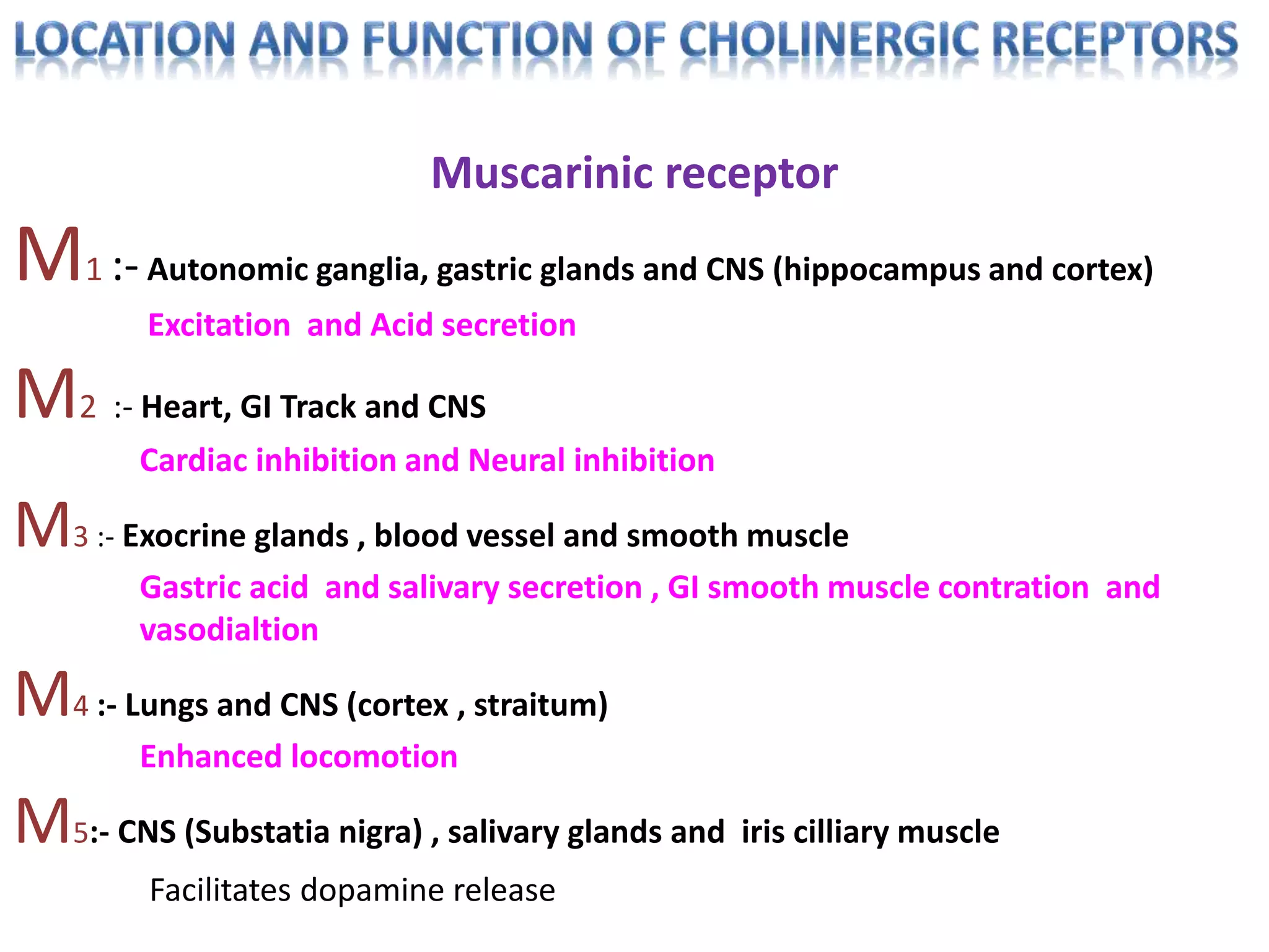 Cholinergic System - Pharmacology | PPT