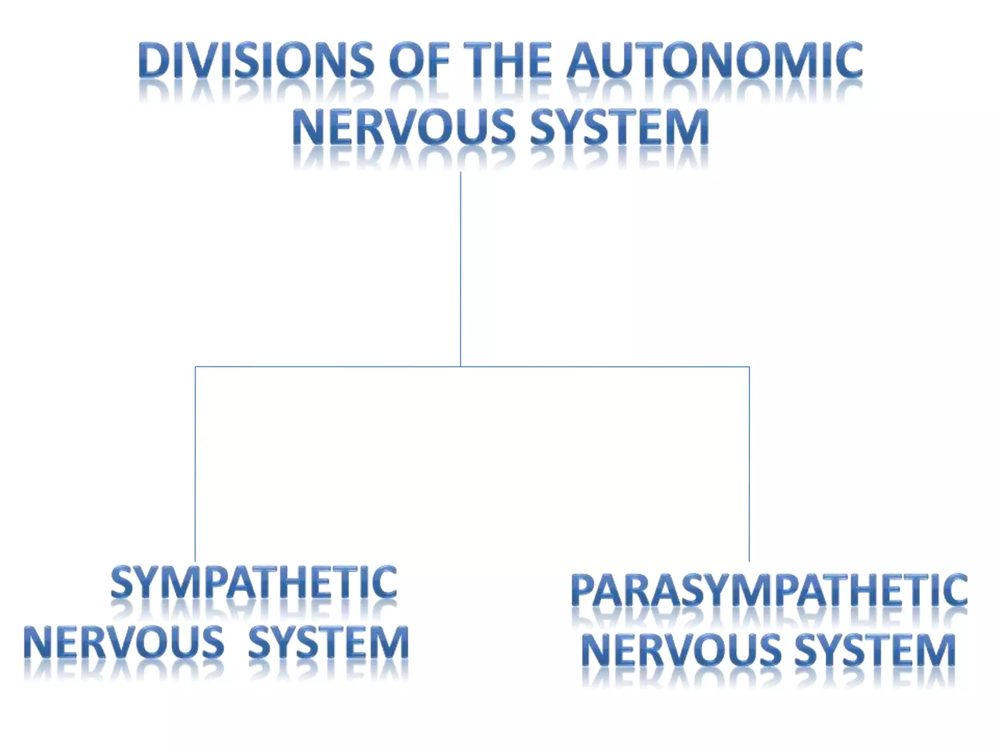 Cholinergic System - Pharmacology | PPT