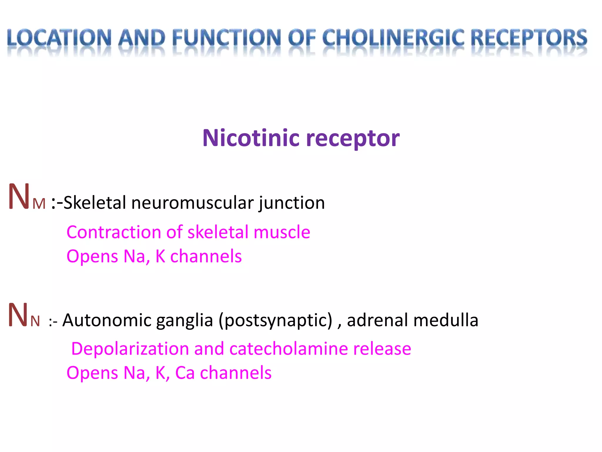 Cholinergic System - Pharmacology | PPT