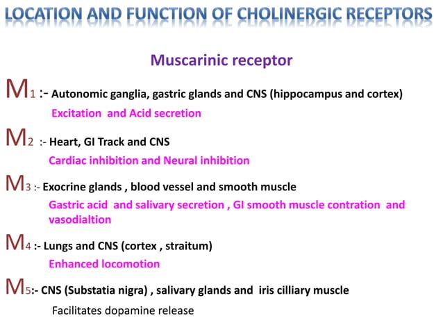 Cholinergic System - Pharmacology | PPT | Brain and Nervous System ...