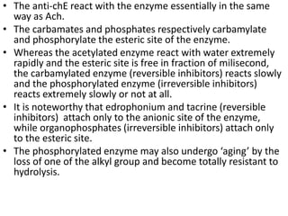 Cholinergic System - Pharmacology | PPT