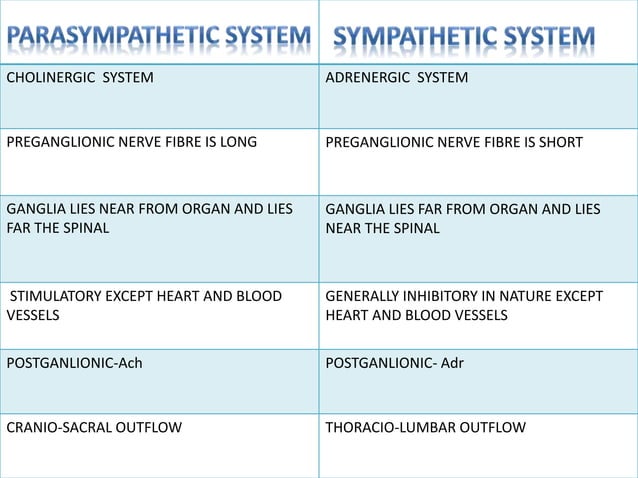 Cholinergic System - Pharmacology | PPT | Brain and Nervous System ...