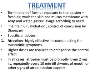 Cholinergic System - Pharmacology | PPT