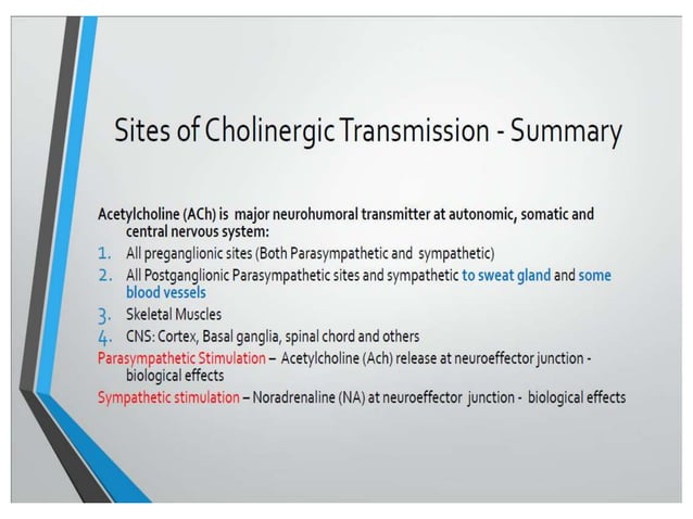 Cholinergic System - Pharmacology | PPT | Brain and Nervous System ...