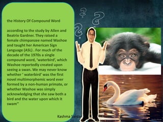 Compound Words | PPT