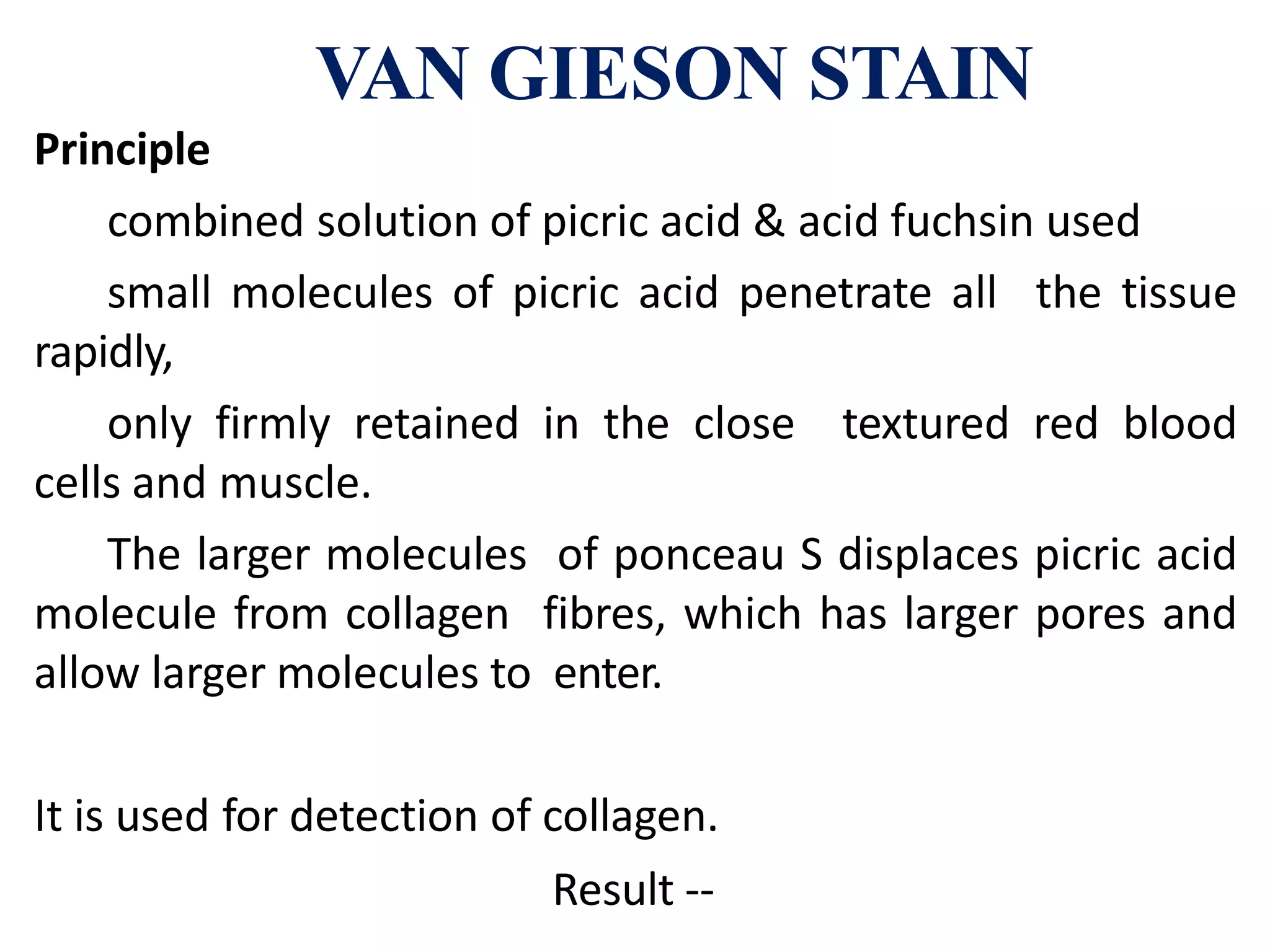 special stain | PPTX