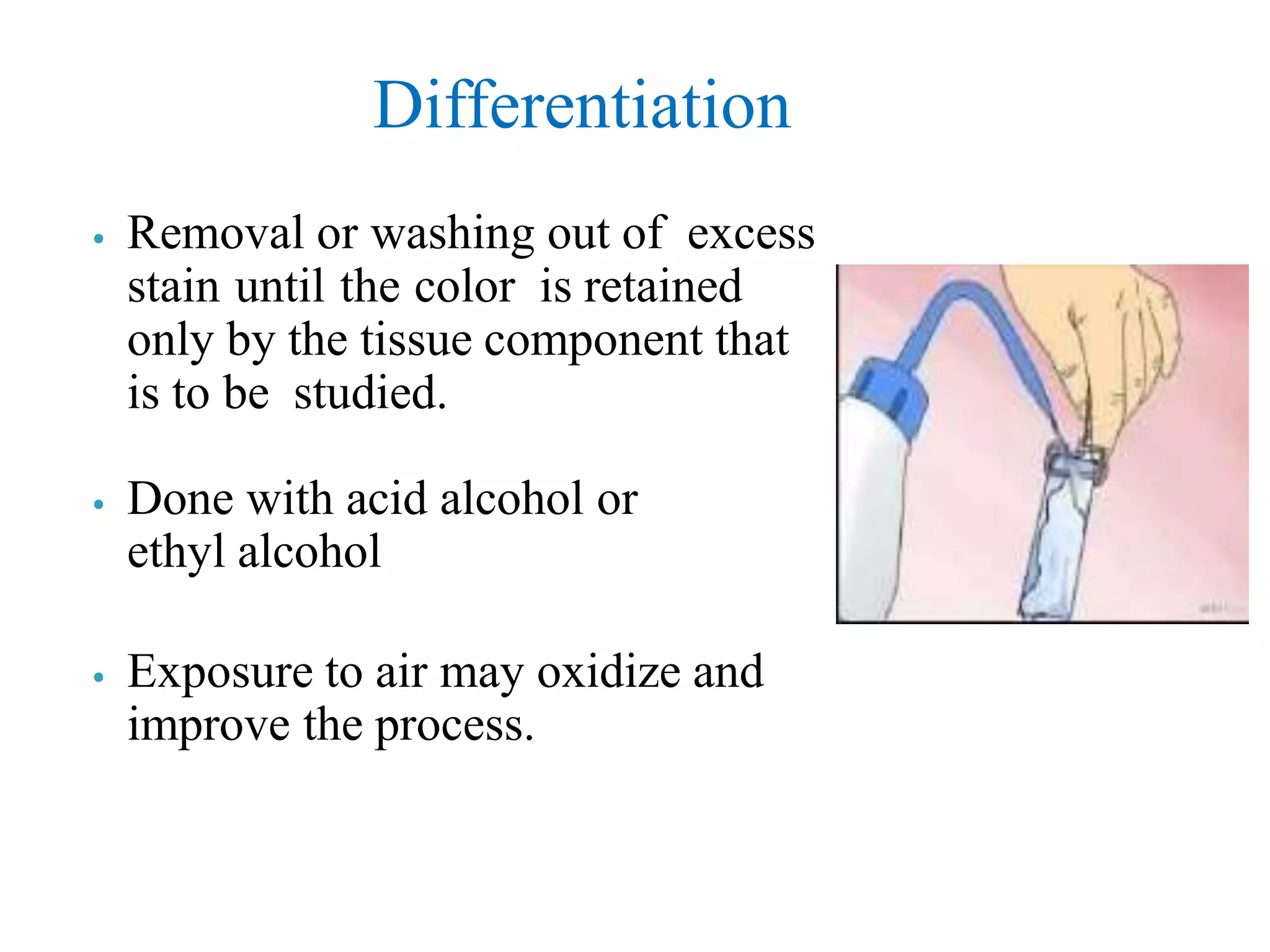 special stain | PPTX