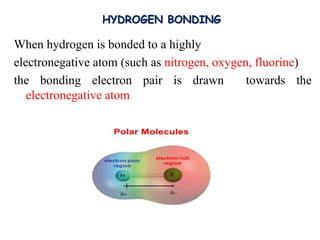 B. Sc Sem IV Hydrogen Bonding | PPTX