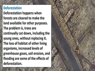 Environmental Issues & Problems includes.pptx