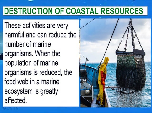 Environmental Issues & Problems includes.pptx | Free Download