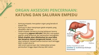 PPT 10_Sistem Pencernaan Manusia (1).pdf