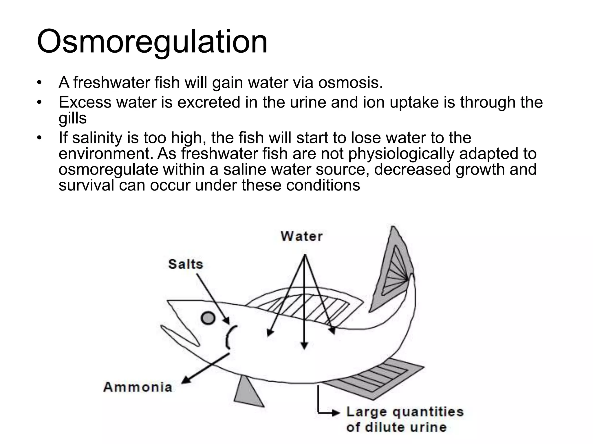 water quality parameters | PPT