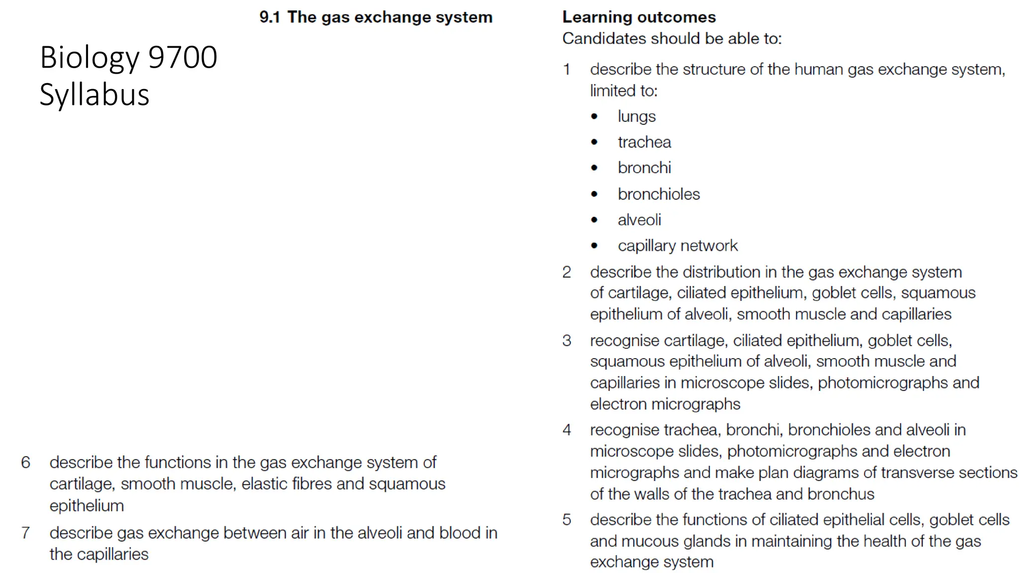Gas Exchange Organs' Histology (Trachea, Bronchi, Bronchioles, Alveoli ...