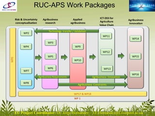 H2020-RUC-APS-PROJECT-SUMMARY | PPT