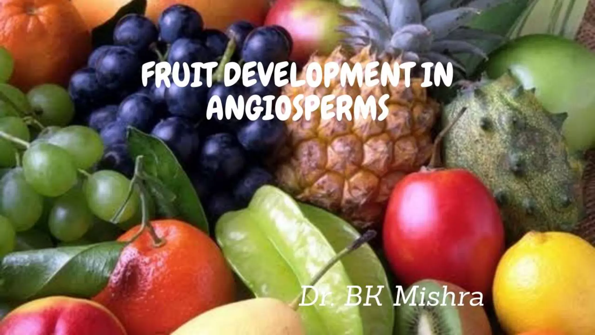 PPT 12 Fruit Development.pptx