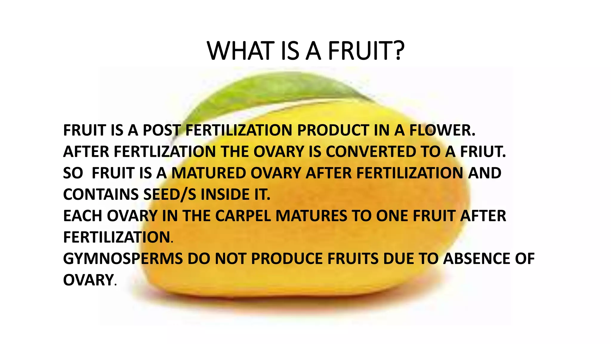 PPT 12 Fruit Development.pptx