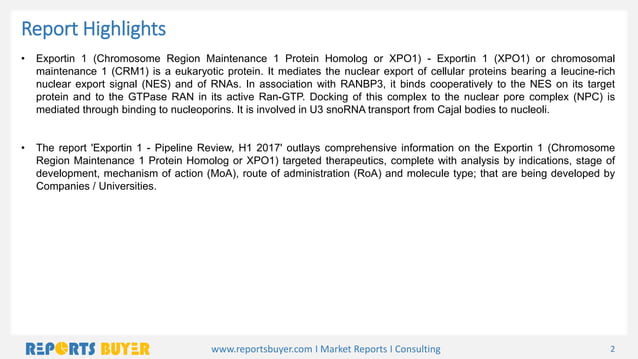 Exportin 1 | PDF | Genetics | Science