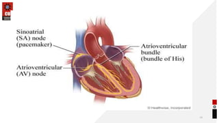 PPT 1 BIOLOGY EMG ECG.pptx