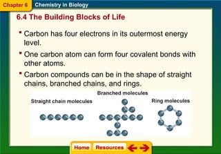 ppt#1 building block of life.ppt aaaaaaaaaa | PPT