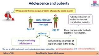 Comprehensive Overview of Adolescence and Puberty in Human Growth | PPSX